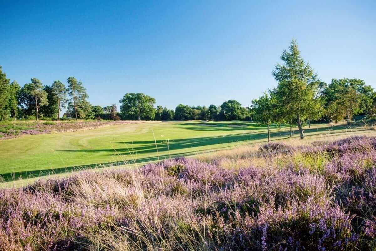 Newbury & Croohham Golf Club in West Berkshire 18th Hole | Newbury ...